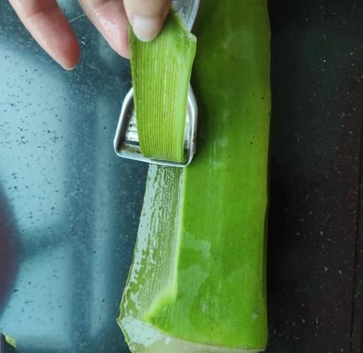 芦荟怎么吃治便秘_芦荟治便秘的正确吃法-第2张图片-山城妙识