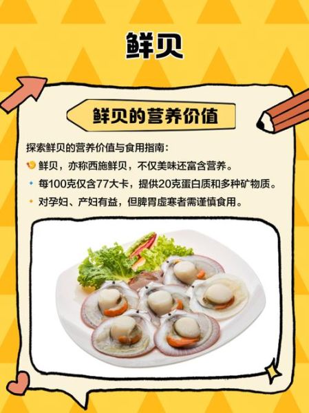 鲜贝怎么吃_鲜贝的家常做法-第1张图片-山城妙识 鲜贝怎么吃_鲜贝的家常做法-第1张图片-山城妙识