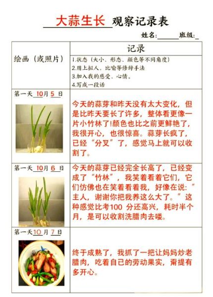 大蒜怎么种发芽快_大蒜几天能发芽-第2张图片-山城妙识