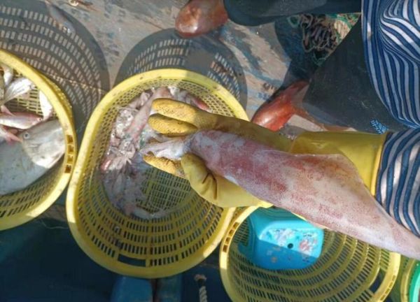 鱿鱼丝干怎么做好吃_鱿鱼丝干的做法大全-第3张图片-山城妙识