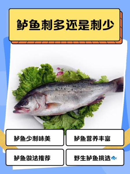 鲈鱼刺多吗_适合宝宝吃吗-第1张图片-山城妙识 鲈鱼刺多吗_适合宝宝吃吗-第1张图片-山城妙识