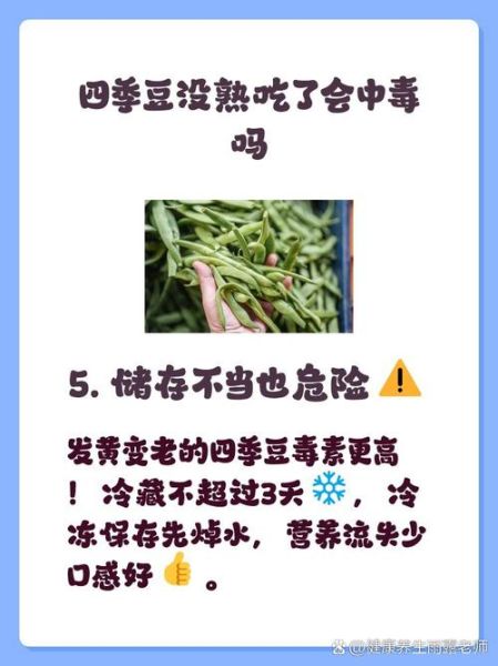 四季豆不熟会中毒吗_吃了没熟的四季豆怎么办-第2张图片-山城妙识
