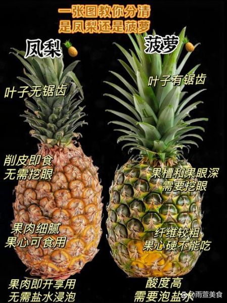 菠萝和凤梨有什么区别_哪个好吃-第1张图片-山城妙识