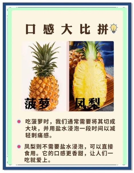 菠萝和凤梨有什么区别_哪个好吃-第3张图片-山城妙识