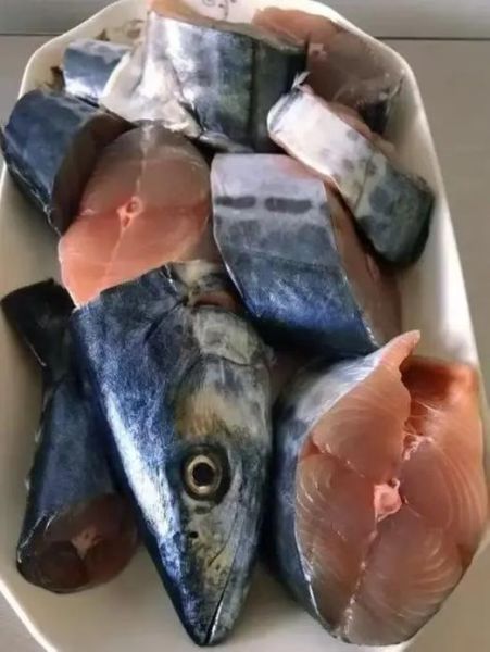 鲅鱼几月份上市_鲅鱼什么时候最肥-第3张图片-山城妙识 鲅鱼几月份上市_鲅鱼什么时候最肥-第3张图片-山城妙识