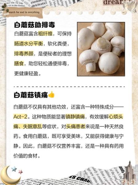 白菇怎么保存_白菇可以生吃吗-第2张图片-山城妙识 白菇怎么保存_白菇可以生吃吗-第2张图片-山城妙识