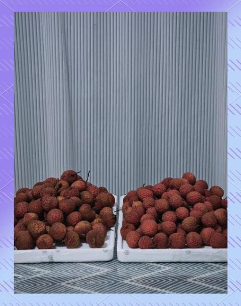 荔枝怎么保鲜_荔枝保存多久不会坏-第1张图片-山城妙识 荔枝怎么保鲜_荔枝保存多久不会坏-第1张图片-山城妙识