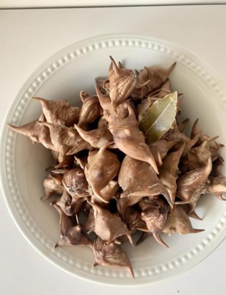 煮菱角要放盐吗_菱角怎么煮才入味-第1张图片-山城妙识