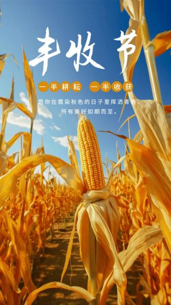 五谷丰登图片大全大图_五谷丰登高清壁纸去哪找-第2张图片-山城妙识