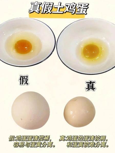 土鸡蛋和柴鸡蛋的区别_土鸡蛋怎么辨别真假-第3张图片-山城妙识