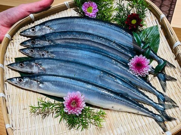 秋刀鱼图片大全大图_秋刀鱼高清图片怎么拍-第1张图片-山城妙识