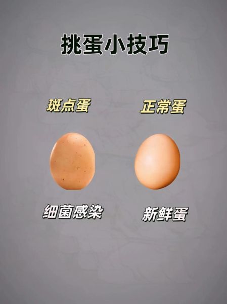 土鸡蛋和柴鸡蛋的区别_土鸡蛋怎么辨别真假-第1张图片-山城妙识