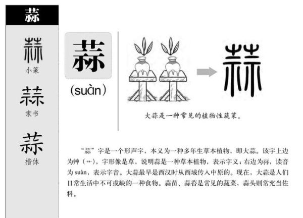 蒜组词有哪些_蒜字怎么组词-第1张图片-山城妙识