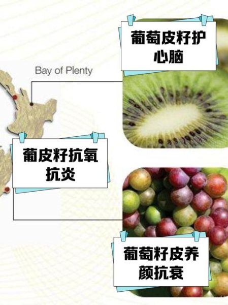 葡萄籽什么时候吃最好_葡萄籽的功效与作用-第3张图片-山城妙识