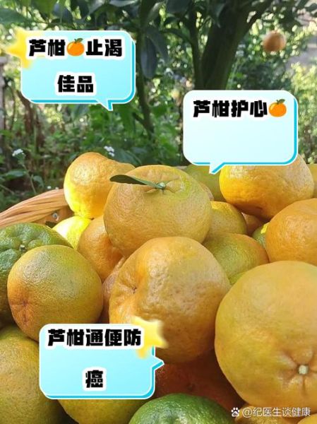 芦柑是上火还是下火_芦柑吃多了会上火吗-第2张图片-山城妙识