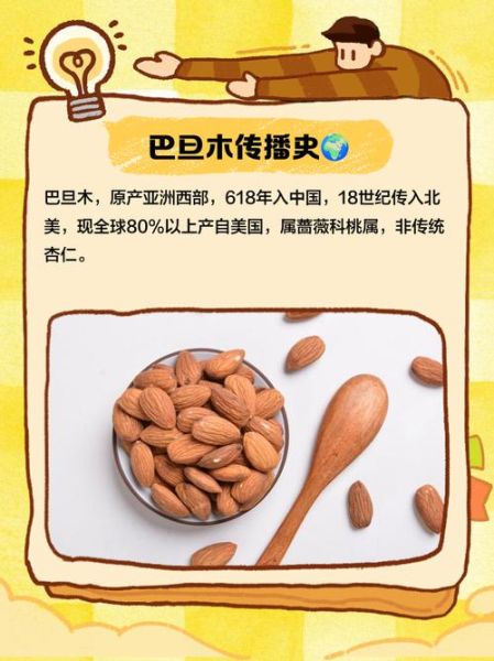 美国大杏仁的功效与作用_每天吃多少合适-第3张图片-山城妙识 美国大杏仁的功效与作用_每天吃多少合适-第3张图片-山城妙识