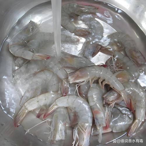 活虾怎么清洗_虾线怎么挑出来-第2张图片-山城妙识