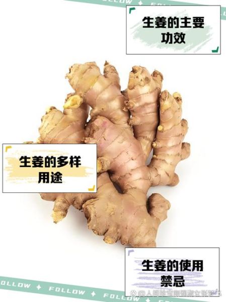 生姜的副作用有哪些_生姜的禁忌人群-第3张图片-山城妙识