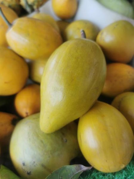 南方水果大全有哪些_南方水果怎么保存-第3张图片-山城妙识