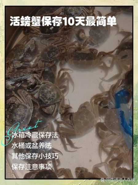 螃蟹怎么保存活得久_活螃蟹放冰箱能活几天-第3张图片-山城妙识