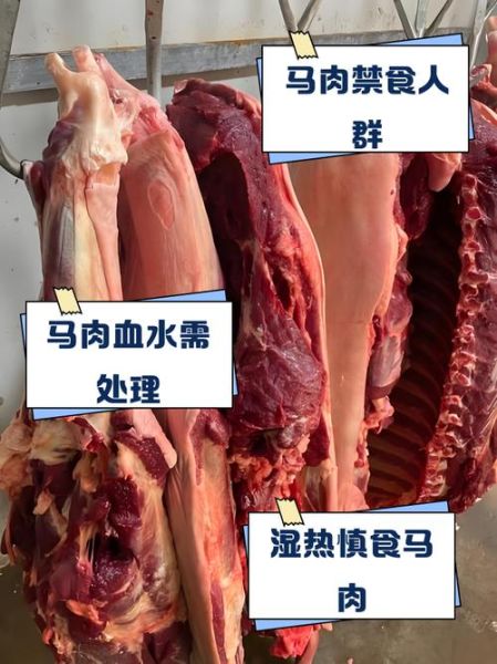 马肉多少钱一斤_马肉价格为什么差异大-第2张图片-山城妙识 马肉多少钱一斤_马肉价格为什么差异大-第2张图片-山城妙识