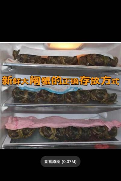 螃蟹保存生的好还是熟的好_冷藏冷冻区别-第2张图片-山城妙识