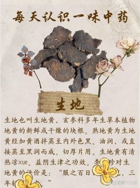 生地和熟地的区别_如何正确选用生地熟地-第3张图片-山城妙识