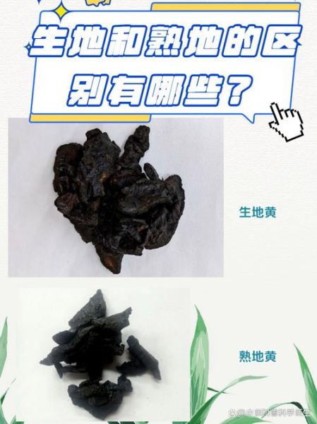 生地和熟地的区别_如何正确选用生地熟地-第2张图片-山城妙识