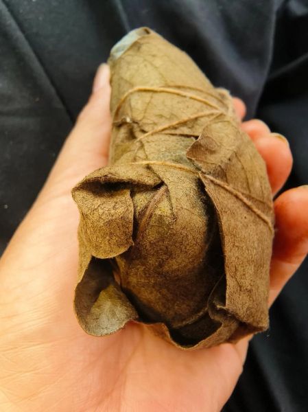 盗墓笔记粽子长什么样_粽子真实照片解析-第1张图片-山城妙识