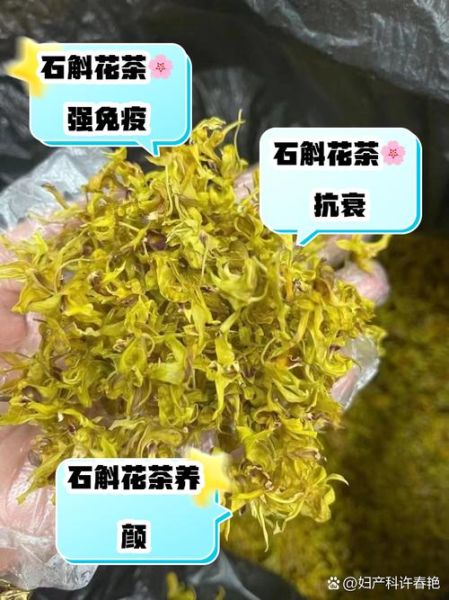 石斛花泡水一次放几朵_石斛花泡水用量多少合适-第1张图片-山城妙识