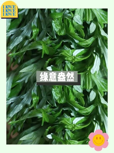 艾草有几种能吃_新鲜艾草怎么吃最好-第3张图片-山城妙识
