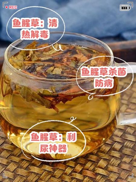 鱼腥草泡水喝的功效与作用_鱼腥草怎么泡水喝最好-第2张图片-山城妙识 鱼腥草泡水喝的功效与作用_鱼腥草怎么泡水喝最好-第2张图片-山城妙识