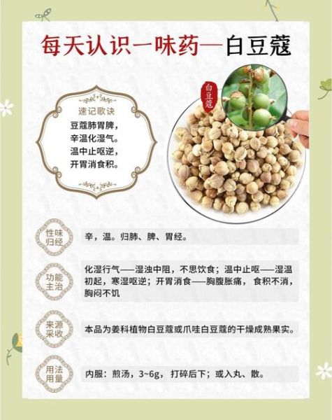 白豆蔻的功效与作用_白豆蔻怎么吃-第1张图片-山城妙识 白豆蔻的功效与作用_白豆蔻怎么吃-第1张图片-山城妙识