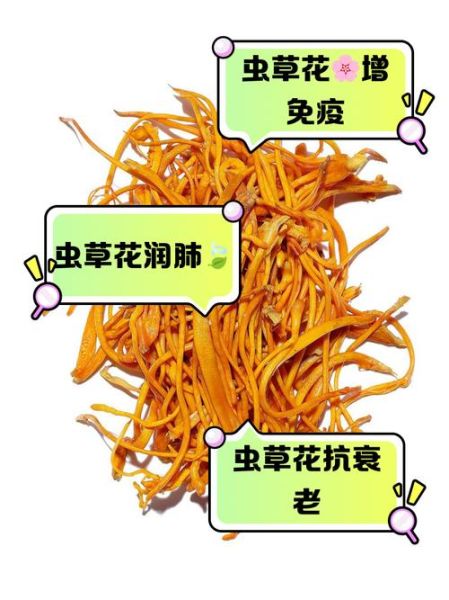 虫草花有什么功效与作用_虫草花营养价值高吗-第2张图片-山城妙识 虫草花有什么功效与作用_虫草花营养价值高吗-第2张图片-山城妙识