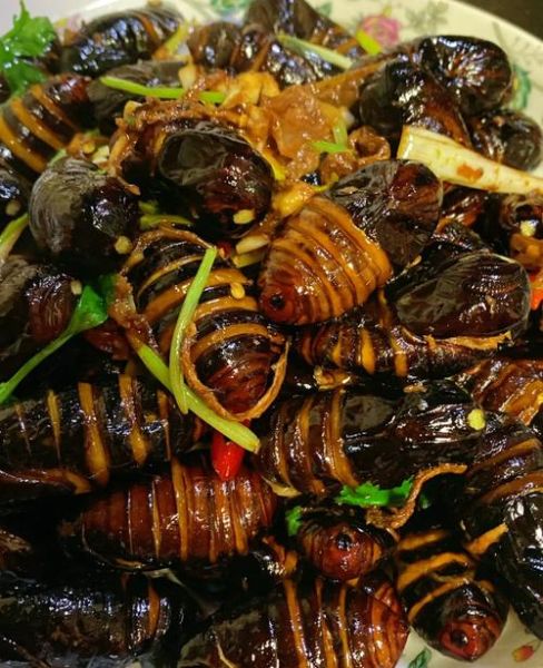 蚕蛹怎么做好吃_蚕蛹的家常做法视频教学-第2张图片-山城妙识