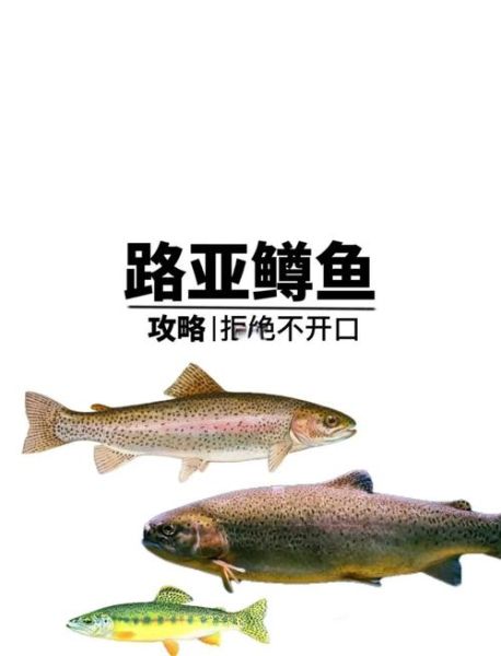 鳟鱼怎么钓_鳟鱼吃什么饵料-第2张图片-山城妙识