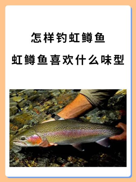 鳟鱼怎么钓_鳟鱼吃什么饵料-第3张图片-山城妙识