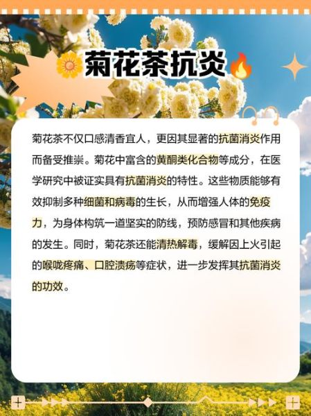 长期喝菊花茶有什么好处_菊花茶的功效与作用-第3张图片-山城妙识 长期喝菊花茶有什么好处_菊花茶的功效与作用-第3张图片-山城妙识