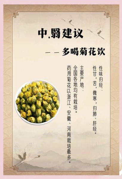 长期喝菊花茶有什么好处_菊花茶的功效与作用-第2张图片-山城妙识 长期喝菊花茶有什么好处_菊花茶的功效与作用-第2张图片-山城妙识