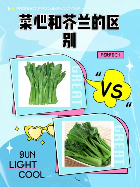 菜心和芥兰的区别_哪个更营养-第1张图片-山城妙识
