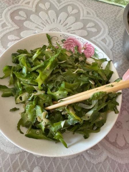 孕妇能吃四角豆吗_四角豆对胎儿好吗-第1张图片-山城妙识 孕妇能吃四角豆吗_四角豆对胎儿好吗-第1张图片-山城妙识