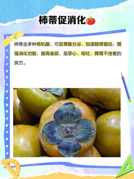 柿蒂的功效与作用_柿蒂的禁忌有哪些-第3张图片-山城妙识