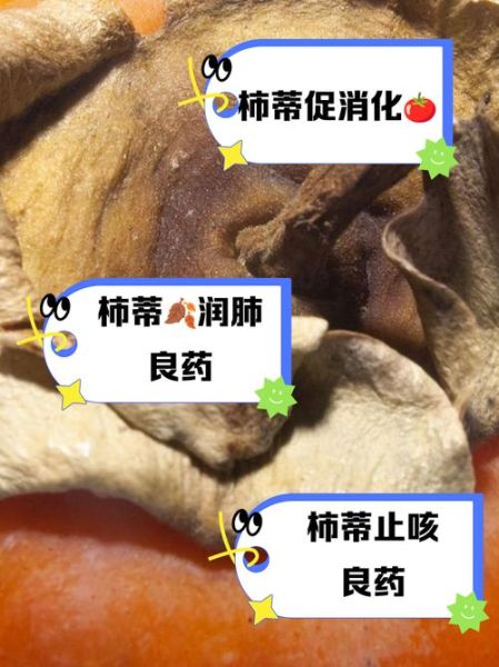柿蒂的功效与作用_柿蒂的禁忌有哪些-第2张图片-山城妙识