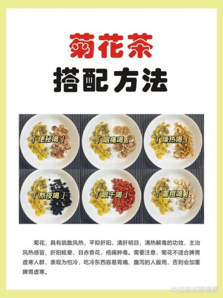 白菊花泡水喝的禁忌_白菊花的功效与作用-第3张图片-山城妙识