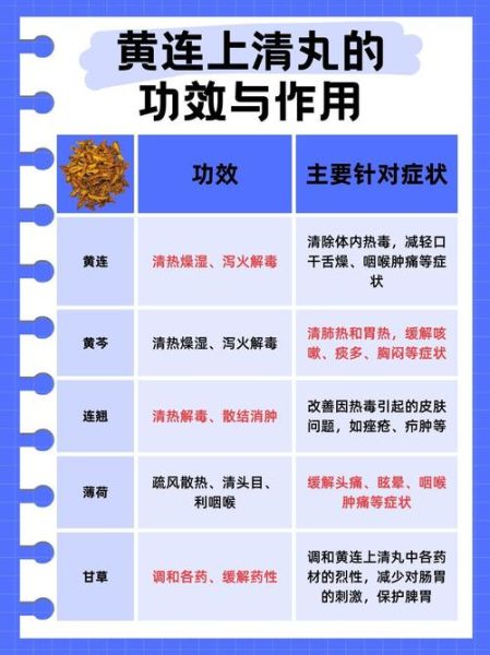 黄连的功效与作用_怎么吃效果最好-第2张图片-山城妙识 黄连的功效与作用_怎么吃效果最好-第2张图片-山城妙识