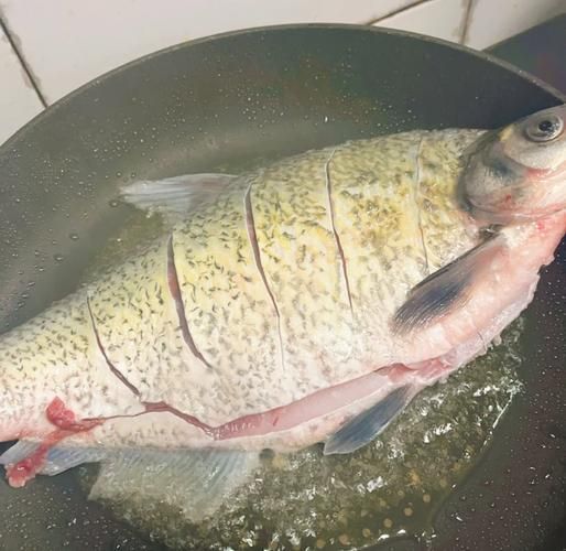 红烧扁鱼怎么做才好吃_红烧扁鱼的家常做法-第1张图片-山城妙识 红烧扁鱼怎么做才好吃_红烧扁鱼的家常做法-第1张图片-山城妙识