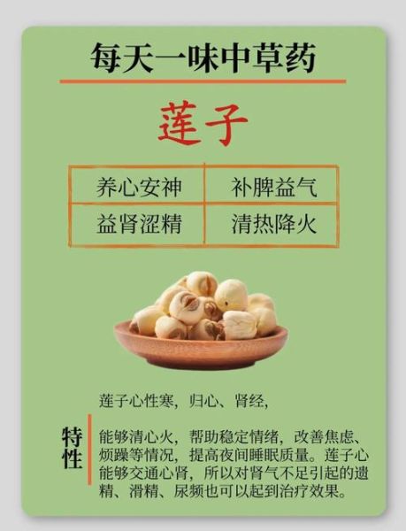 莲子有什么功效_莲子主治什么病-第1张图片-山城妙识 莲子有什么功效_莲子主治什么病-第1张图片-山城妙识