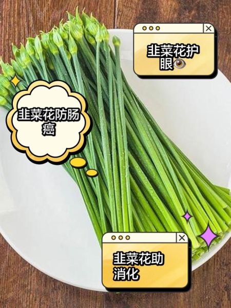 韭菜花什么人不能吃_韭菜花禁忌有哪些-第3张图片-山城妙识