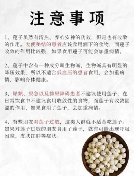 莲子有什么功效_莲子主治什么病-第2张图片-山城妙识 莲子有什么功效_莲子主治什么病-第2张图片-山城妙识