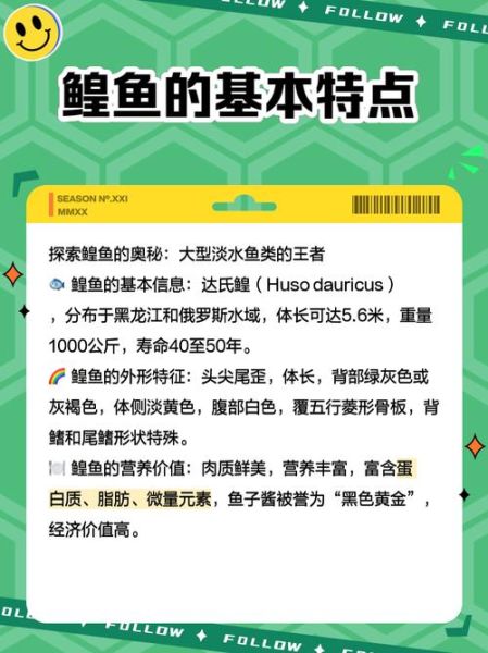 鲟鱼和鳇鱼的区别图_如何一眼分辨-第1张图片-山城妙识 鲟鱼和鳇鱼的区别图_如何一眼分辨-第1张图片-山城妙识